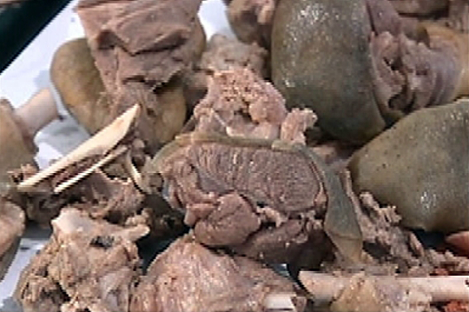 Kainan sa Benguet, huli sa pagbebenta ng karne ng aso | ABS-CBN News Kainan sa Benguet, huli sa pagbebenta ng karne ng aso | ABS-CBN News