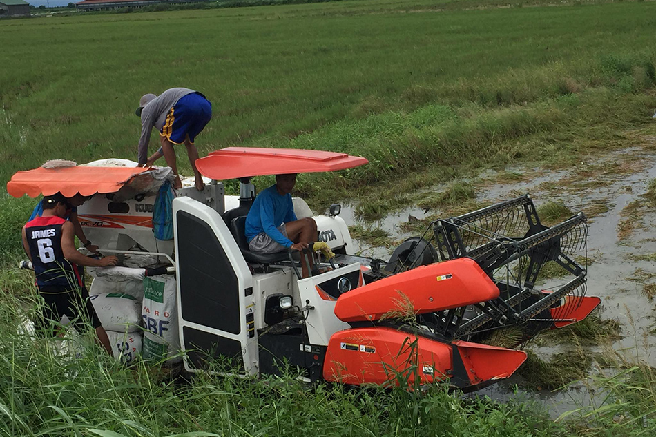 P4-milyon palay nasira ng baha sa San Luis, Pampanga | ABS-CBN News P4-milyon palay nasira ng baha sa San Luis, Pampanga | ABS-CBN News