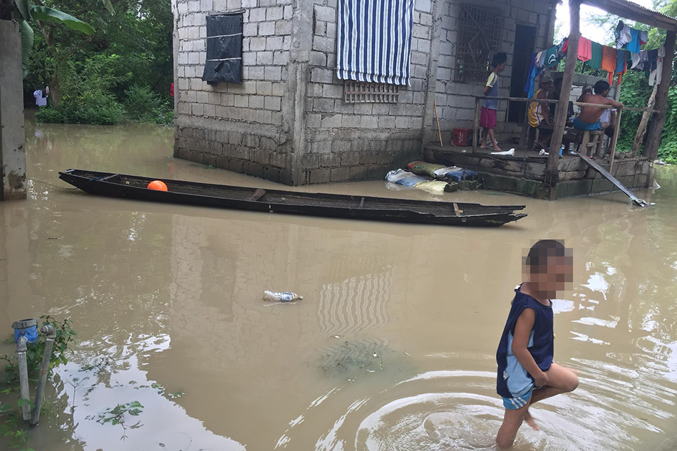 P4-milyon palay nasira ng baha sa San Luis, Pampanga | ABS-CBN News P4-milyon palay nasira ng baha sa San Luis, Pampanga | ABS-CBN News