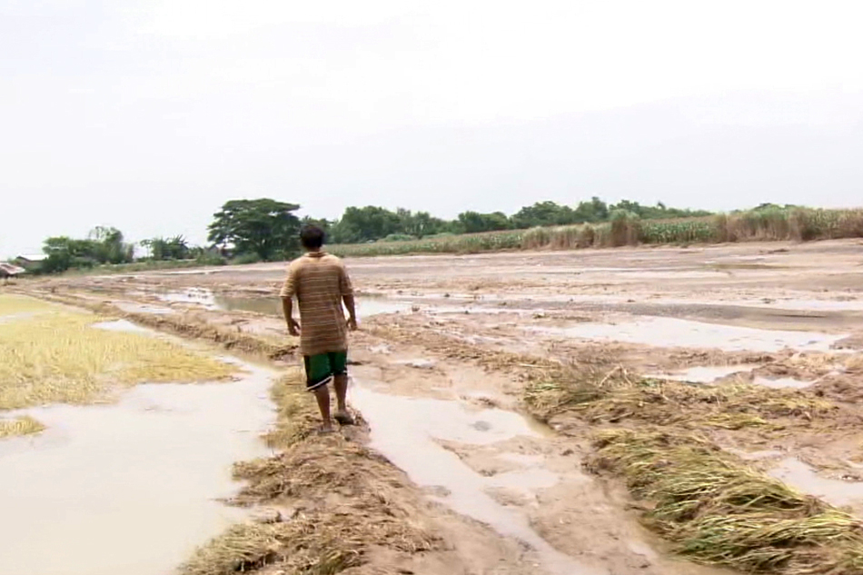 P180 milyong halaga ng agrikultura, napinsala ng baha sa Nueva Ecija ... P180 milyong halaga ng agrikultura, napinsala ng baha sa Nueva Ecija ...
