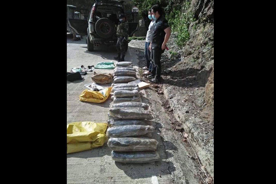 Abot P4.3M halaga ng marijuana, nakumpiska sa Kalinga | ABS-CBN News Abot P4.3M halaga ng marijuana, nakumpiska sa Kalinga | ABS-CBN News