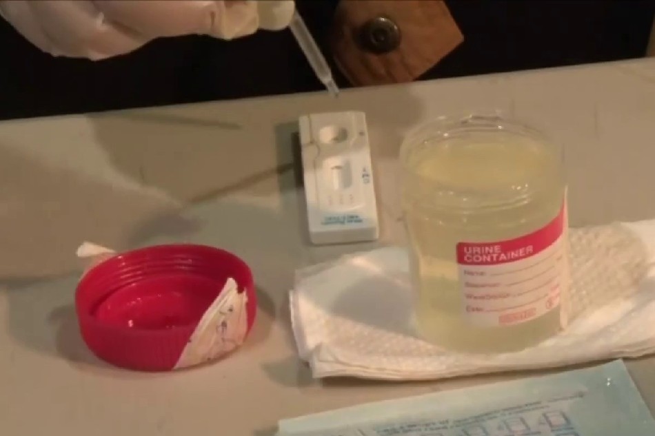 Mga taga-showbiz pumalag sa panukalang mandatory drug test | ABS-CBN News Mga taga-showbiz pumalag sa panukalang mandatory drug test | ABS-CBN News