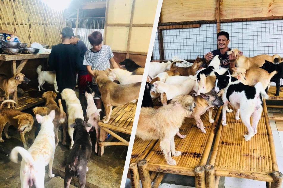 Mag-asawa humiling ng tulong para sa 200 asong na-rescue | ABS-CBN News Mag-asawa humiling ng tulong para sa 200 asong na-rescue | ABS-CBN News