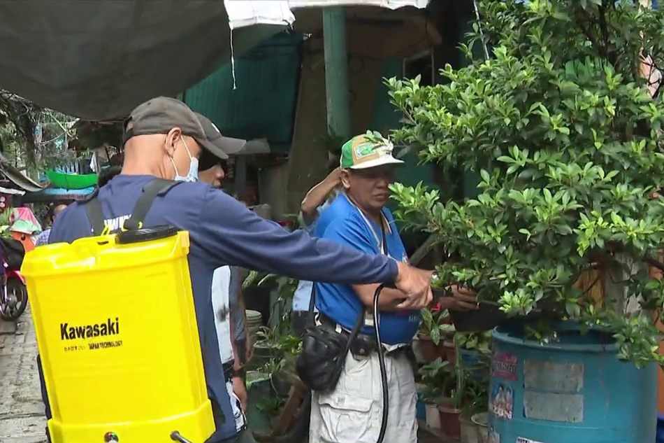 Bilang Ng Mga Nagkaka Dengue Sakit Na Mala Trangkaso Tumaas Abs Cbn