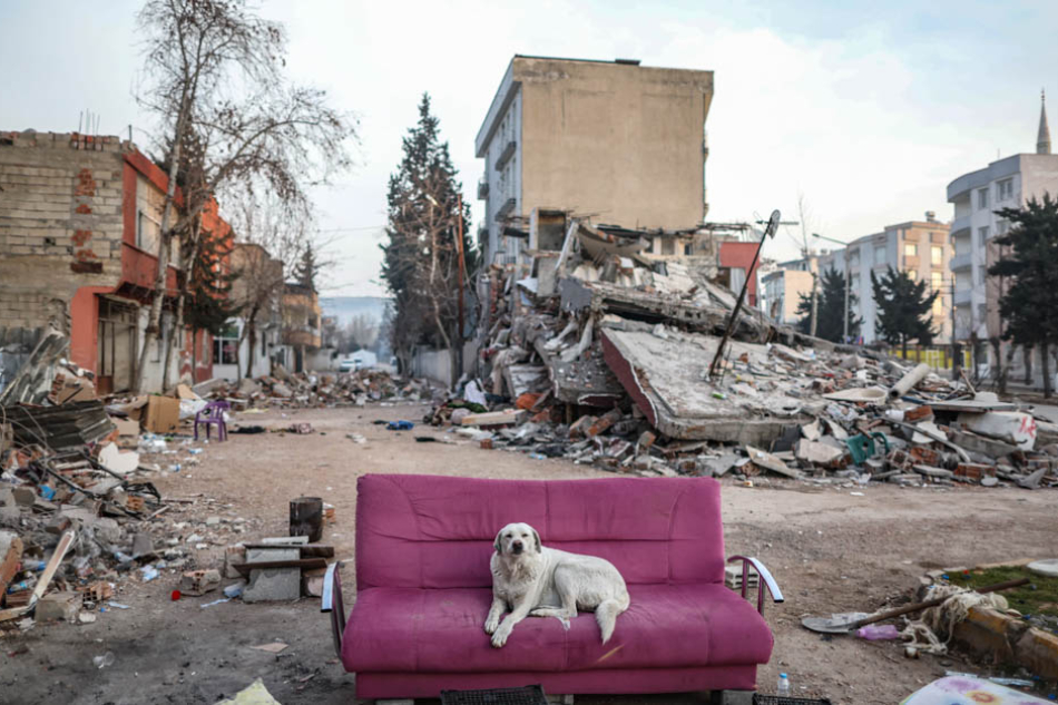 Life After Turkey Syria Earthquake Abs Cbn News